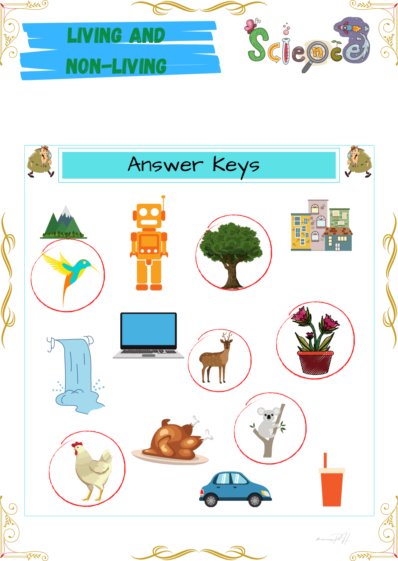 Grade 1 Science Worksheet | Living Things and Non-Living Things