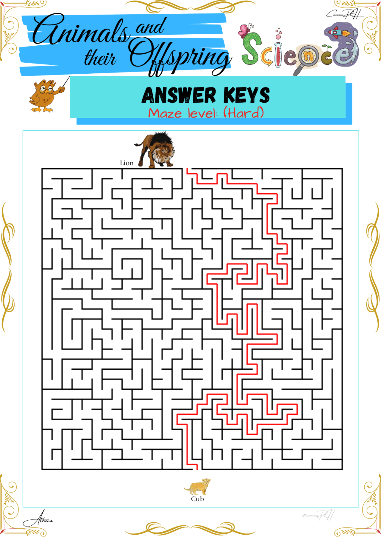 Grade 1 Science Activity | Animal Shelter and Their Offspring | Maze
