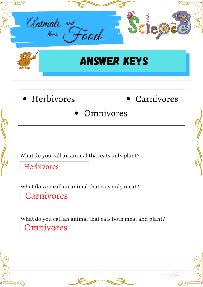 Grade 1 Science Worksheets | Herbivores Omnivores and Carnivores