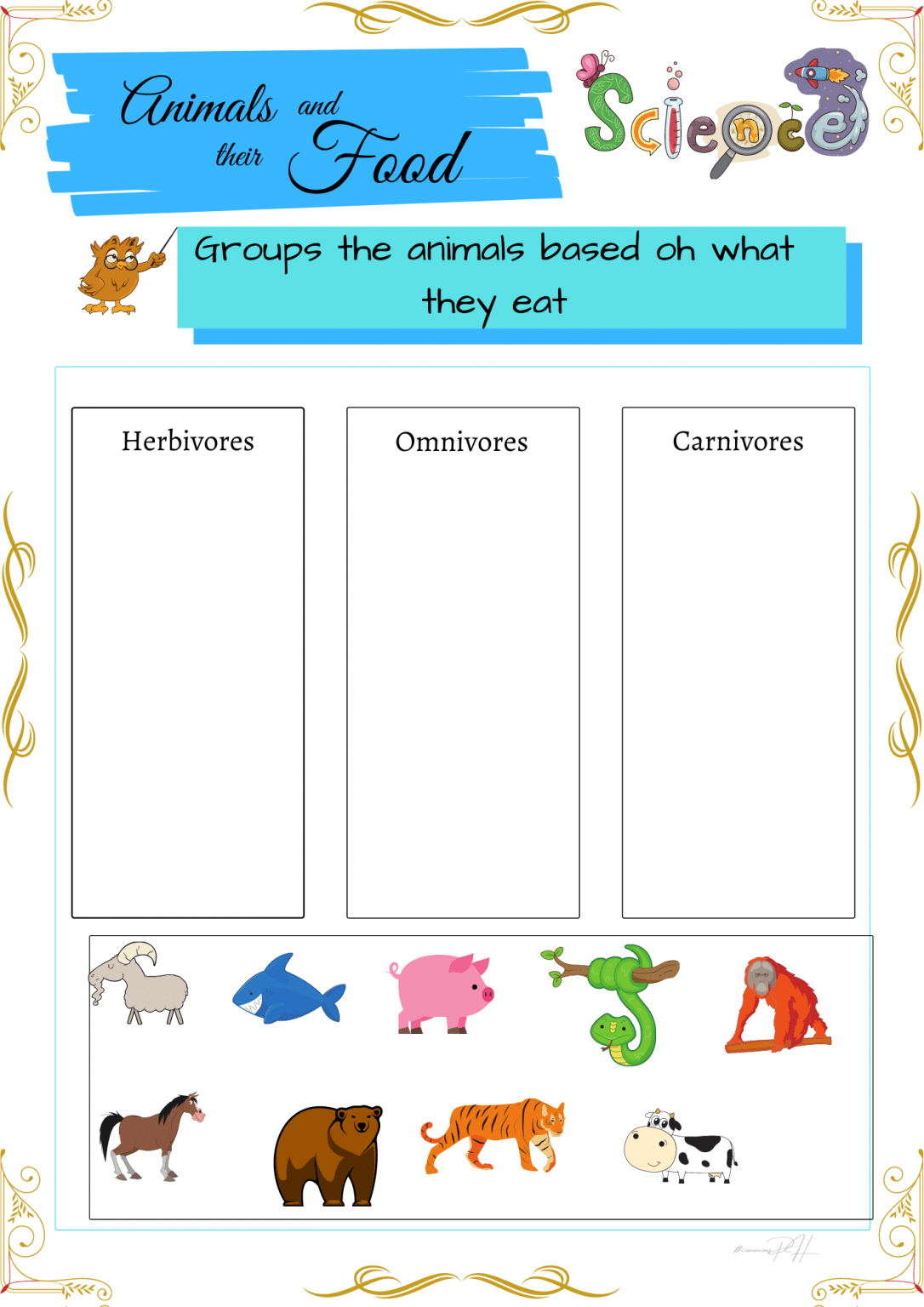 Grade 1 Science Worksheets | Herbivores Omnivores and Carnivores