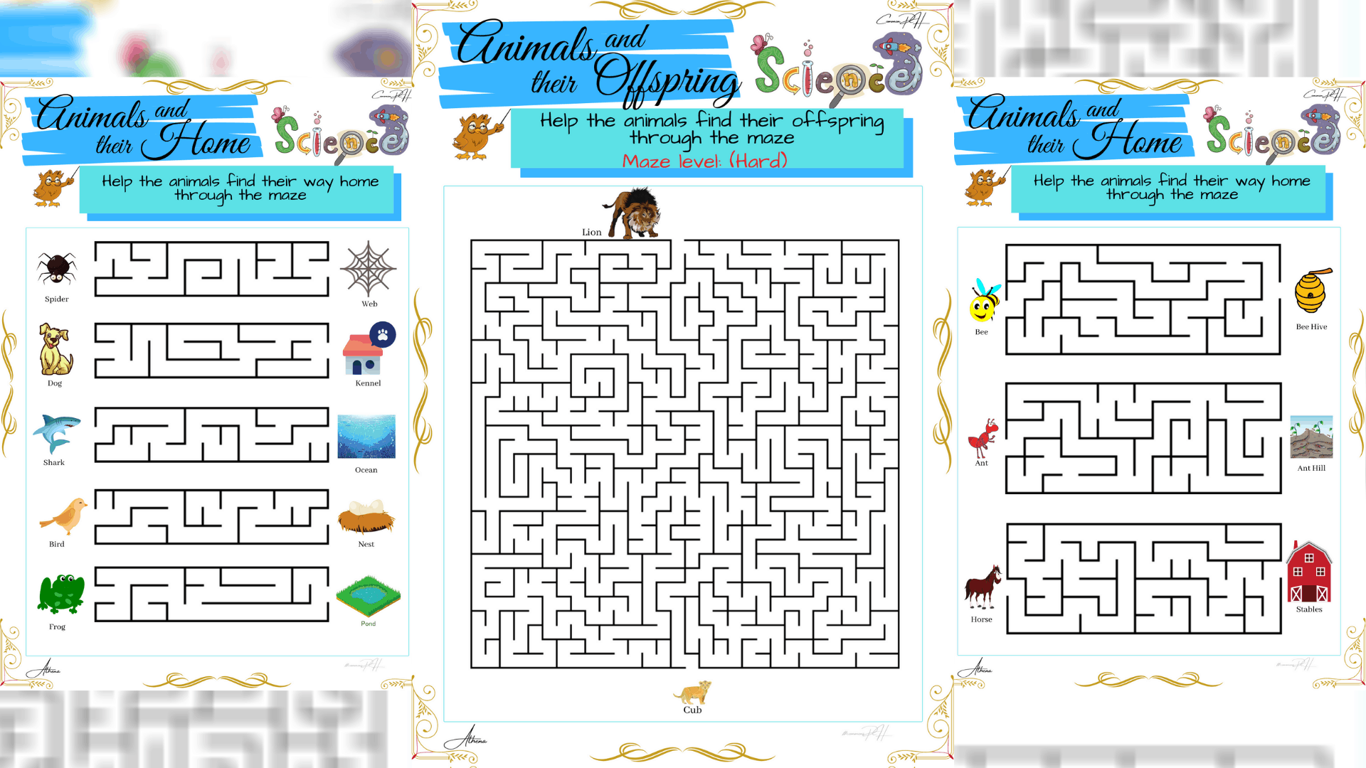 Grade 1 Science Activity | Animal Shelter and Their Offspring | Maze